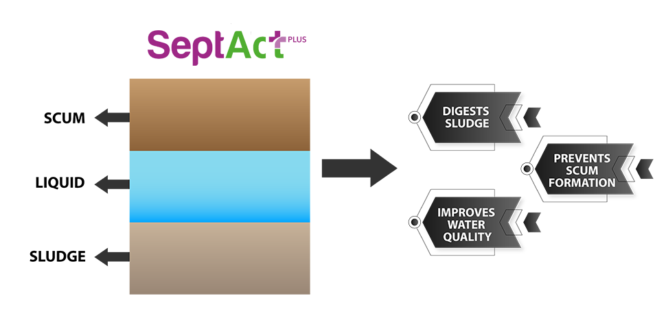Alternative Waste Management Technology - Wastewater Treatment Plant
